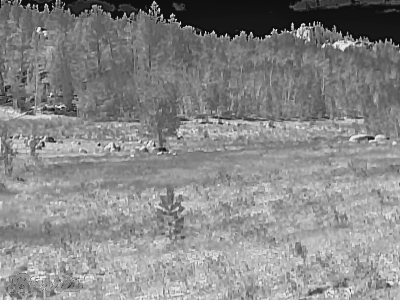 BTS35 v3 | Burris Optics